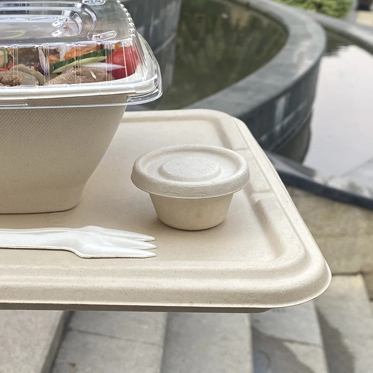 2024 Custom Compostable Sugarcane Bagasse Pulp Cup Disposable ...