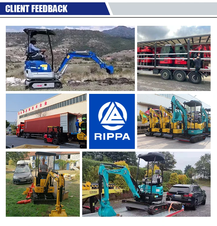 Rippa Small Compact Digger Earth Moving Machinery Garden Micro ...