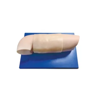 Darhmmy Advanced Subdermal Implant Contraceptive Exercise Arm Model ...