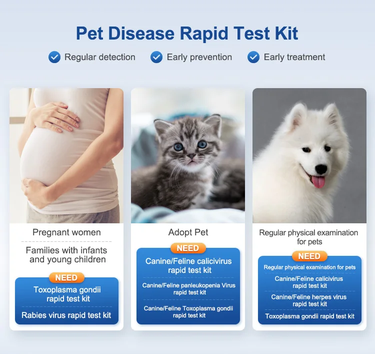 Canine Test H. Pylori Pet Testing Canine Feline H. Pylori Antigen Test ...