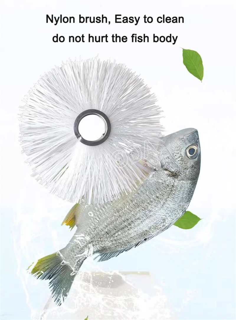 Easy Operation Small Fish Killing Viscera Remover Fish Offal Remover ...