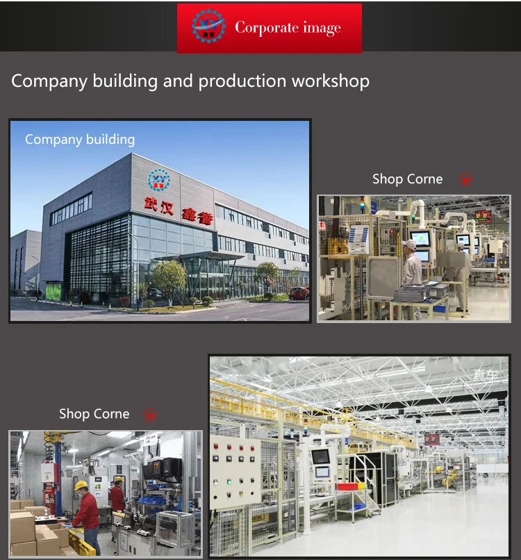 High Pressure Common rail Injector D11 D12 D13 D16 Diesel Engine Fuel ...