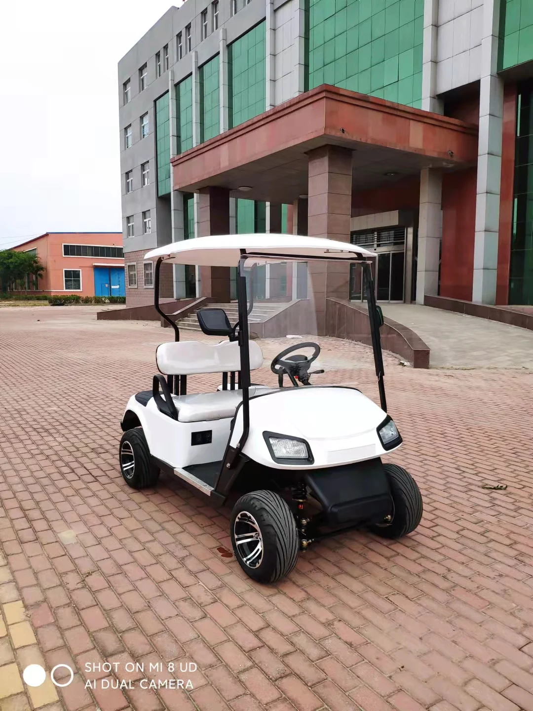Shuncha Ce Approved 3kw Motor Golf Carts 2 Seater Electric Golf Cart ...