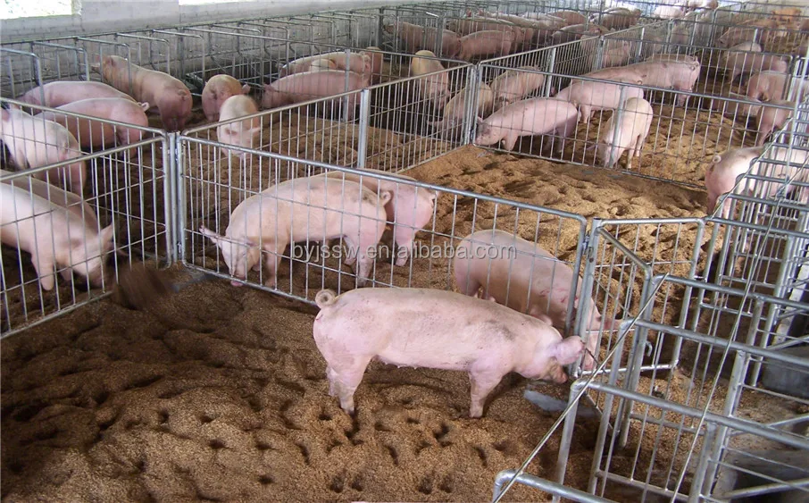 BAIYI Farrowing Pen - Durable & Efficient Pig Breeding