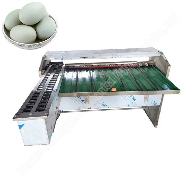 Basic sorting Chicken farm grading machine wash and egg weight sorter ...