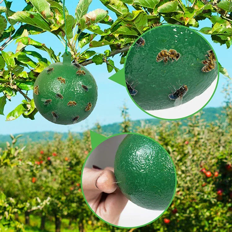8 cm Round Garden Plant Fruit Fly Trap Ball with Glue Colored Fly ...