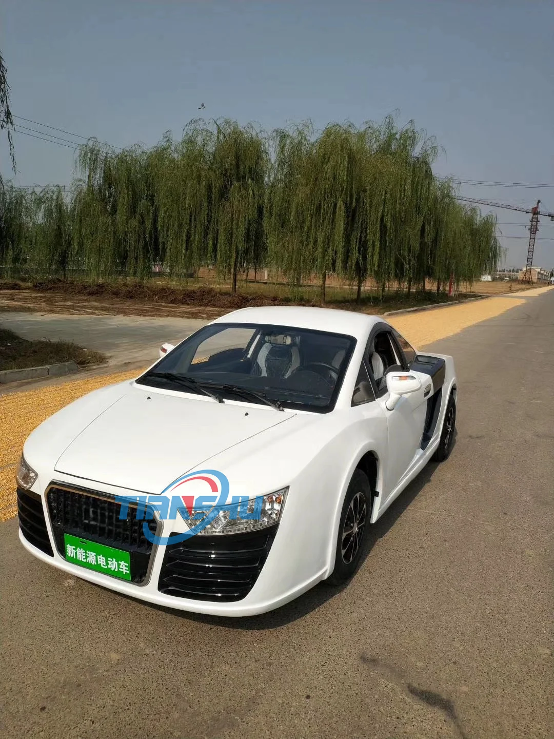 Tianshu Electric Sport Car - Fun & Safe Driving for Adults