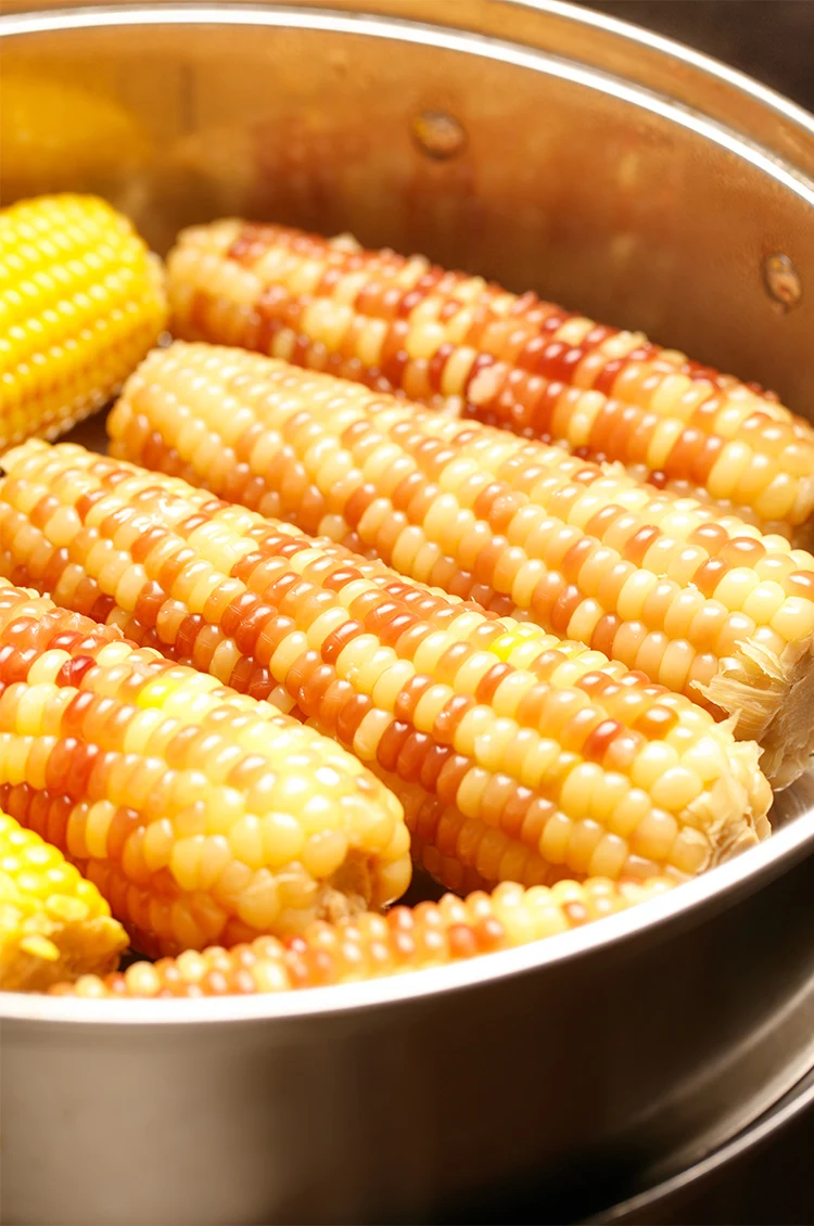 Fresh Vacuum Packing Vegetable Mottled Waxy Corn Single Cob - Buy Fresh ...