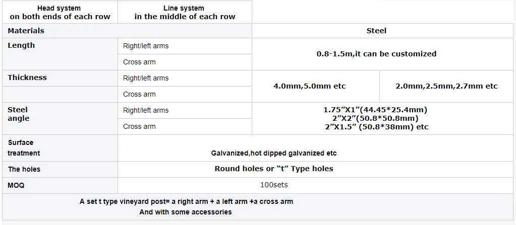 Easy to Install Y Shape Open Gable Trellis System for Peru