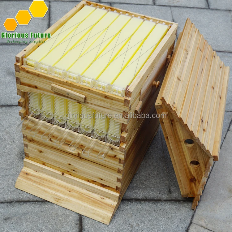 Beekeeping Auto Bee Hive Frames Kit Flowing Self 7pcs Automatic Honey ...