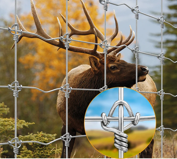 Wholesale Oem Cheap Galvanized Cow Horse Deer Farm Fencing 8 Ft ...