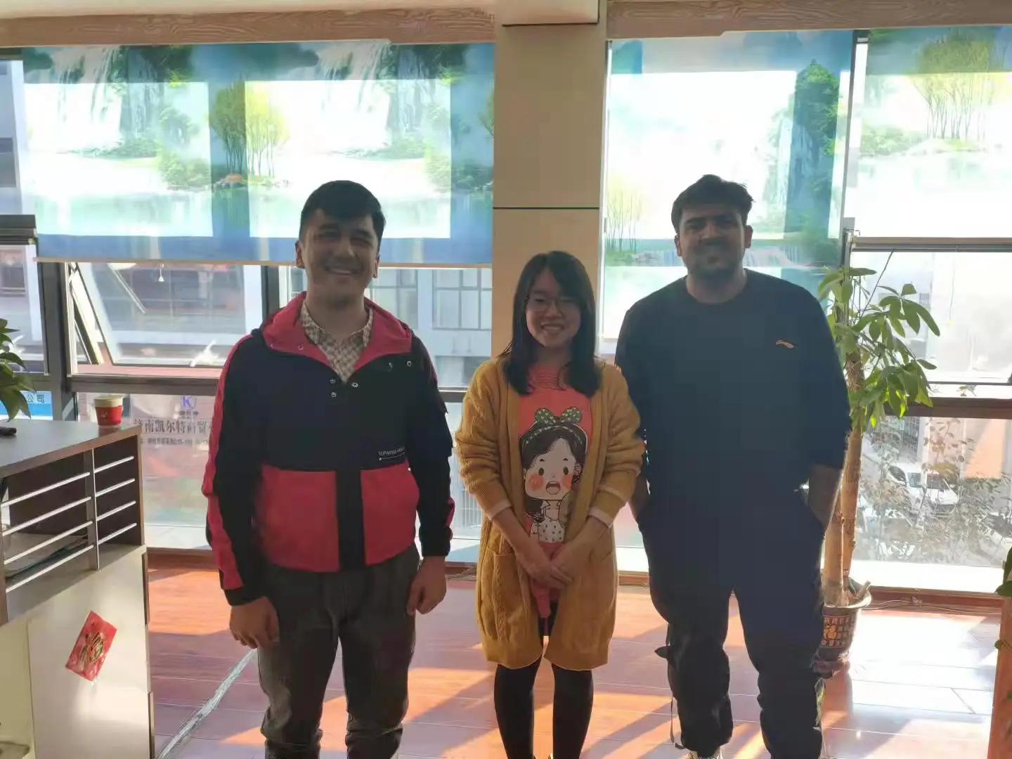 SL52 SL62 SL72 SL82 SL92 SL102 Welded Wire Mesh for Construction