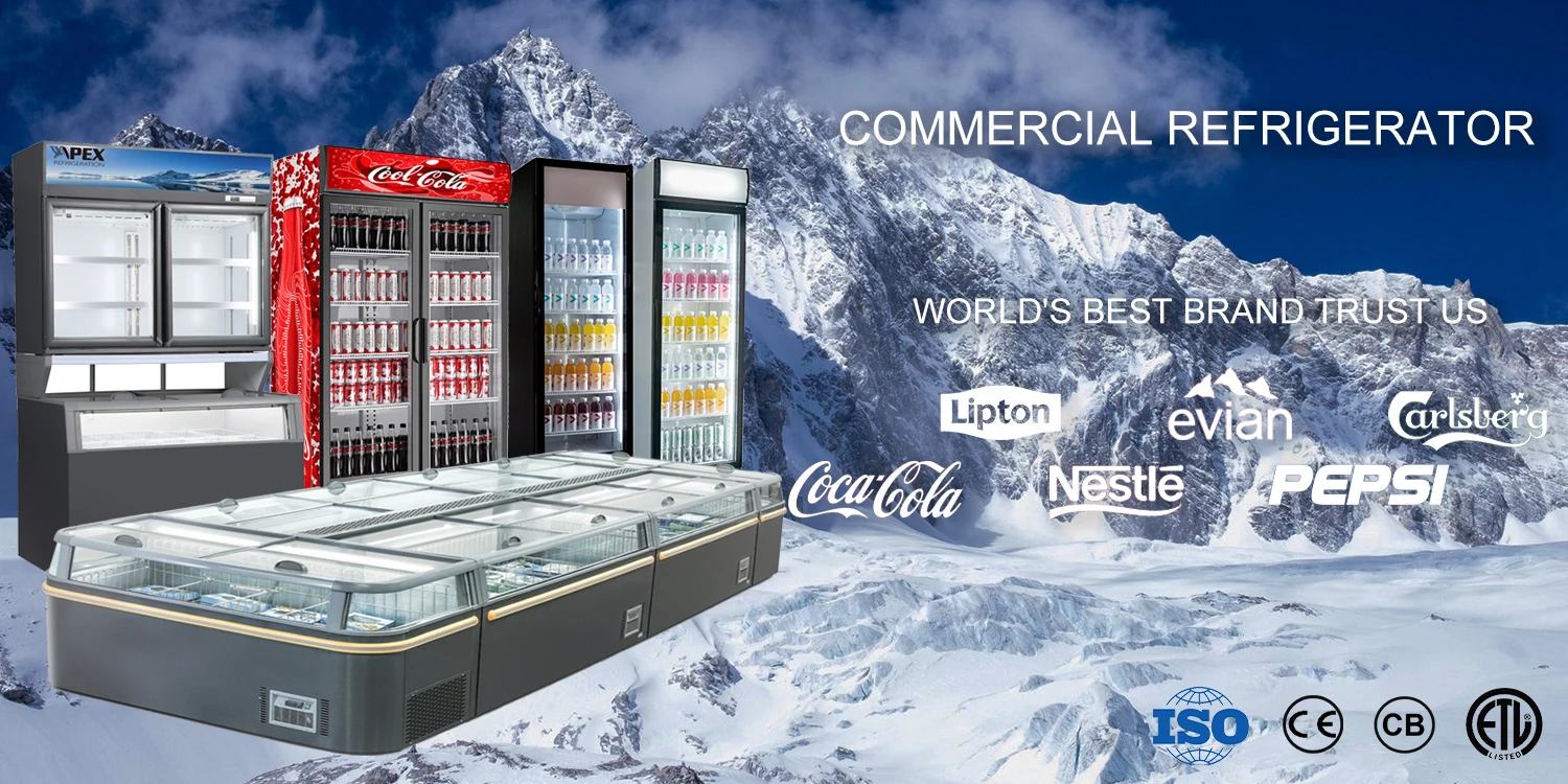 Double Doors Upright Showcase - Efficient Display Fridge