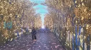 Immersive LED Tunnel Video Display Projector & Digital Light Solutions OEM