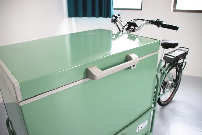 3 Wheel Bike with Ice Cream Fridge - Electric Motor Bike