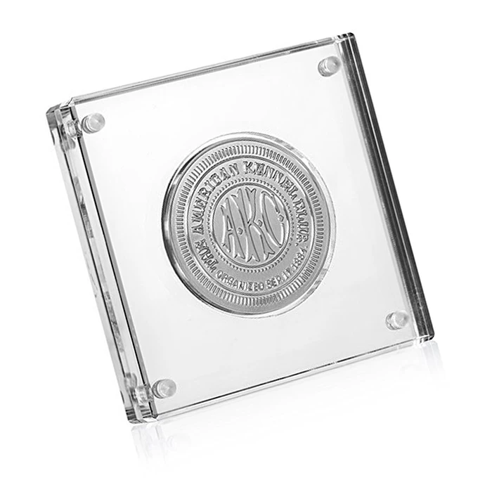 LS Acrylic Currency Display Frame Magnetic Acrylic Money Photo Frame ...