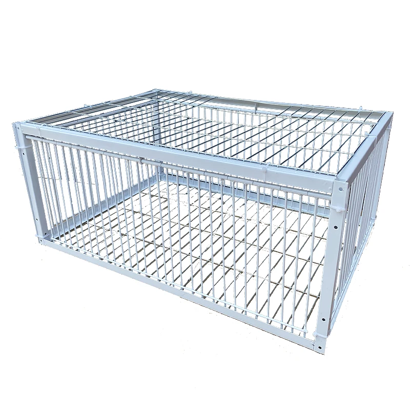 Foldable Galvanised Pigeon Bird Trap Cage - Humane Trapping