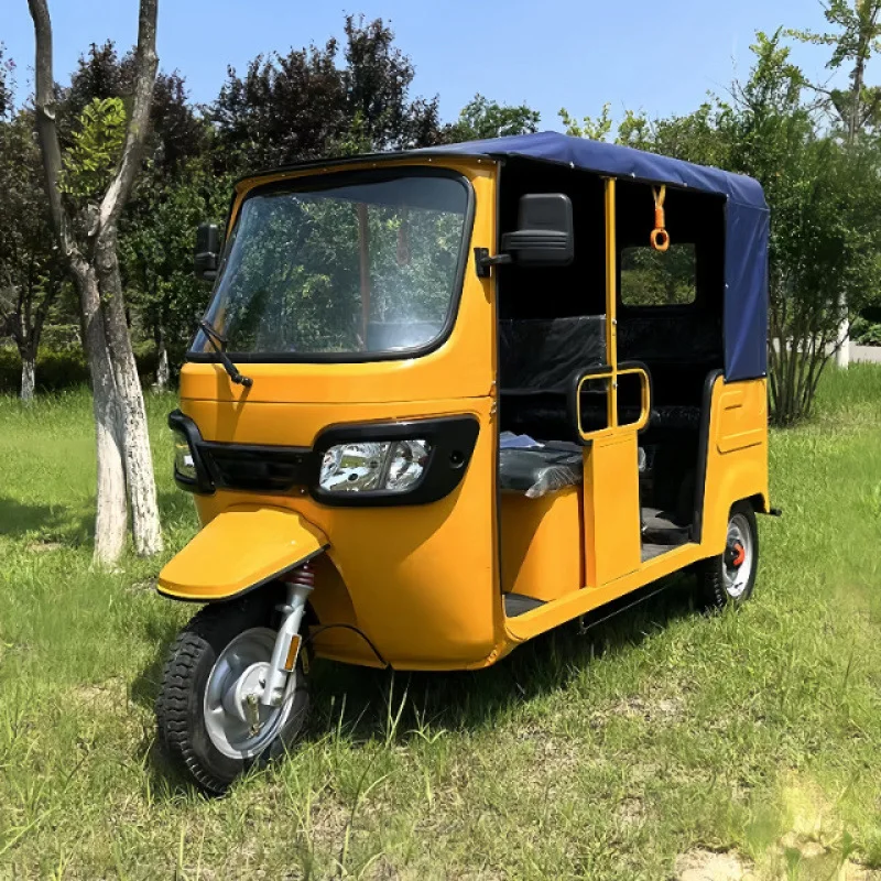 New Arrival 1000W Tvs Motor Tricycle Common for Passenger 3 Wheel Bike ...