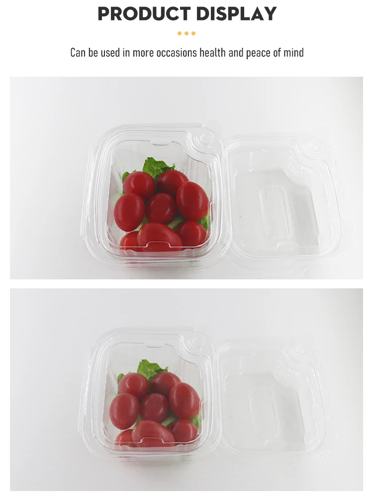Plastic Disposable Cake Containers - Durable & Clear