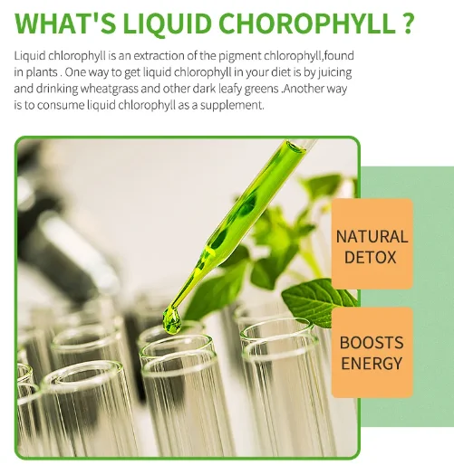 Ausreson Wholesale Chlorophyll Mullein Drinking Weight Management Boost ...