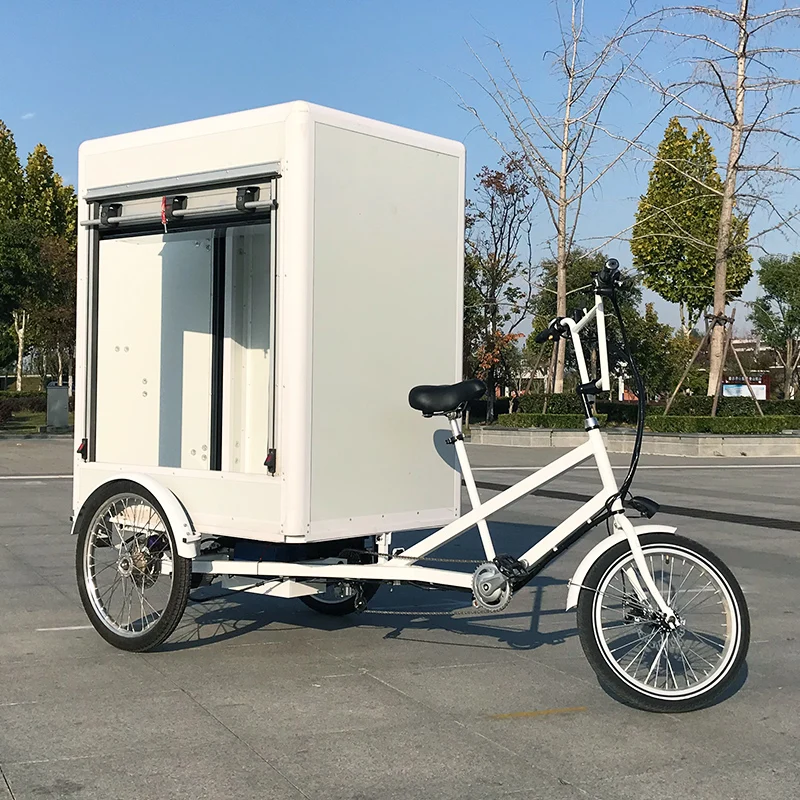 Cargo Mini Van Bike - Efficient Three-Wheel Electric Vehicle