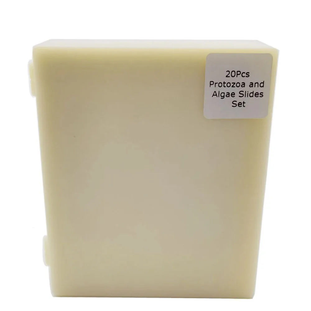 20Pcs Protozoa and Algae Slides Set Microscope Education Prepared ...