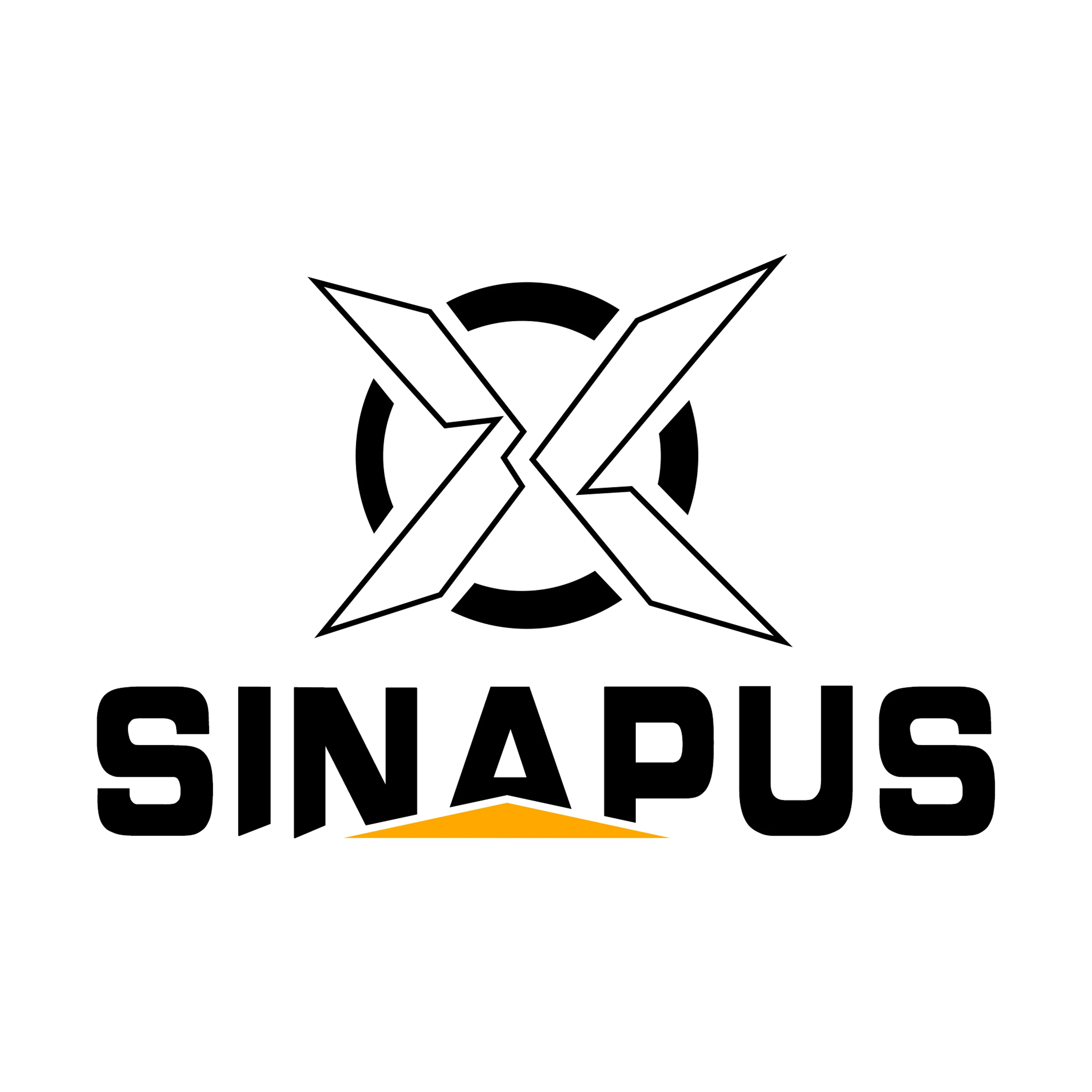 Company Overview - Shenzhen Sinapus Technology Co., Ltd.