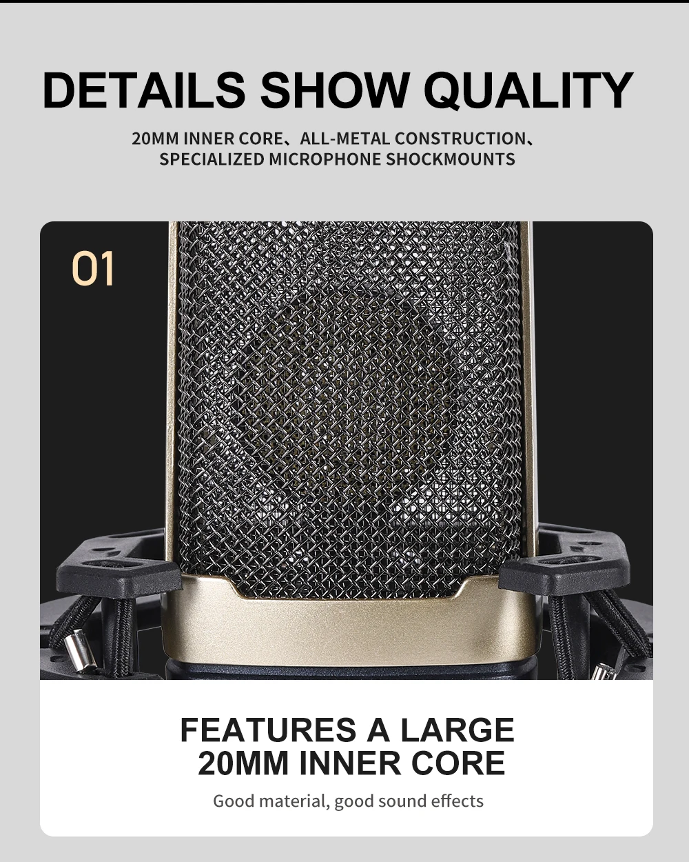A2 Professional Wired Condenser Microphone for Studio Singing