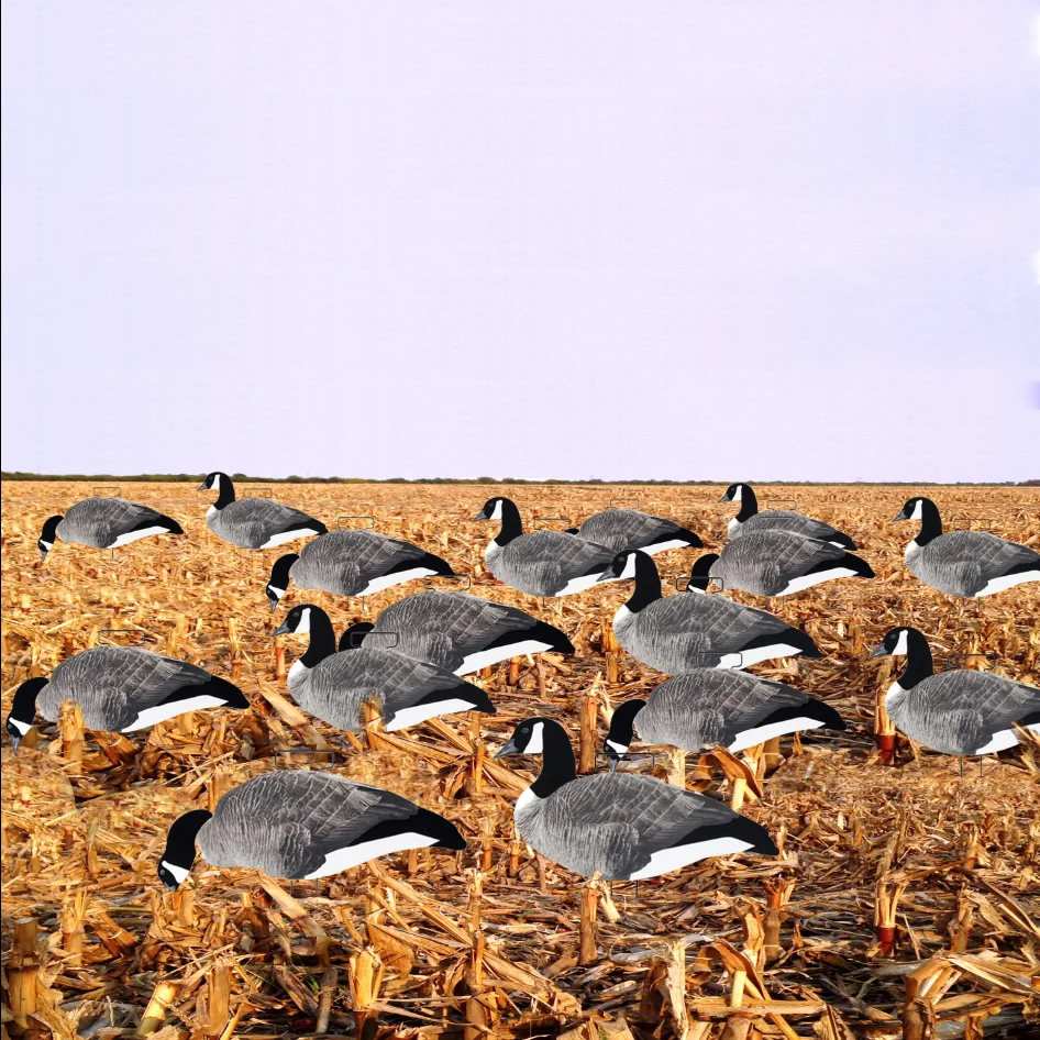 Wholesale Oem Odm Custom Plastic Lifelike Anti-reflective PP Silhouette ...