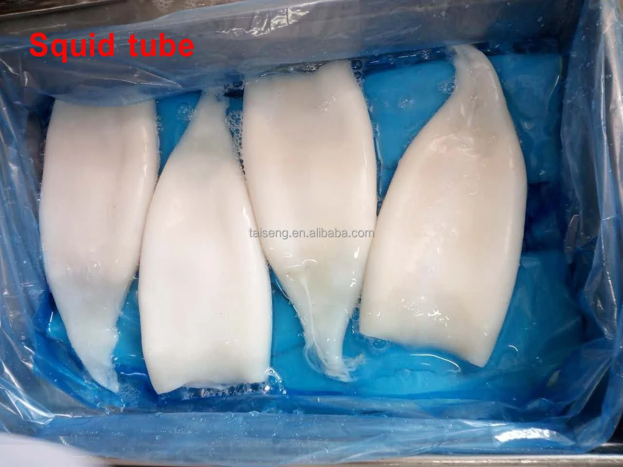 Sea Fishing Squid Tube - Taiseng SQUID - 24 MONTHS Shelf Life
