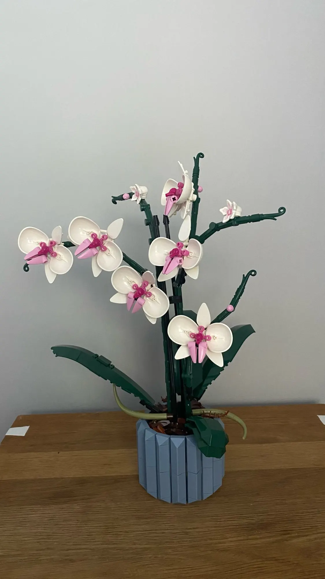 Brick Flower Building Blocks Set Garden Toys Diy Wild Botanical ...