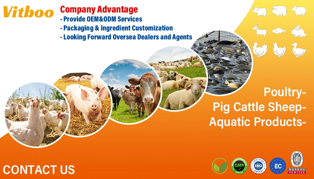 Poultry Food Chicken Premix Feed Multivitamins for Laying Hens Egg Plus ...