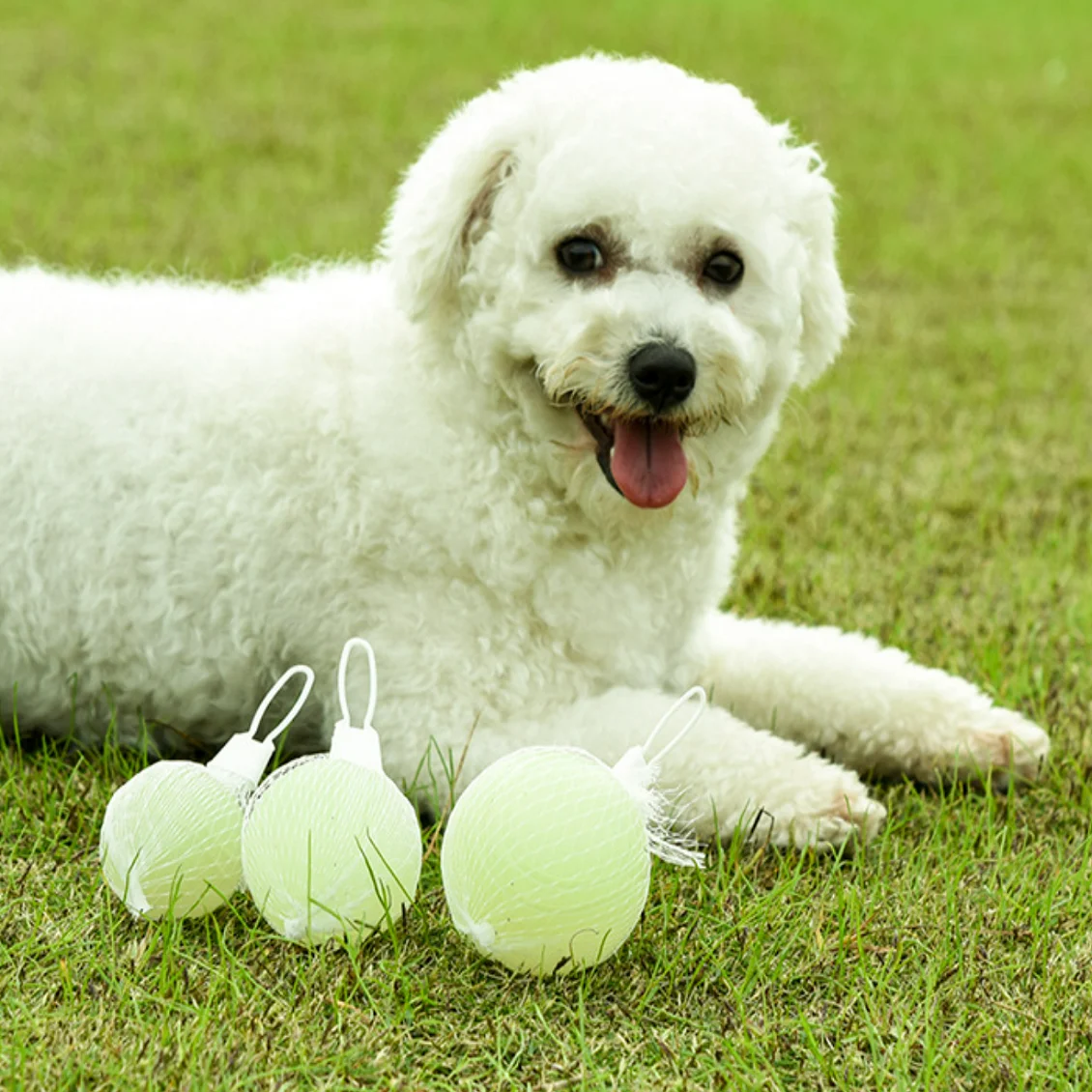 Glow in the Dark Dog Ball - TPR Chew Toy for Night Fun