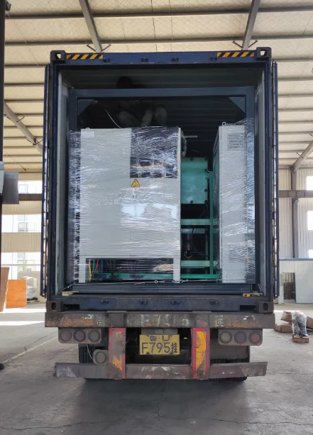 Electro-chlorination System /brine Electrolysis Chlorination Equipment ...