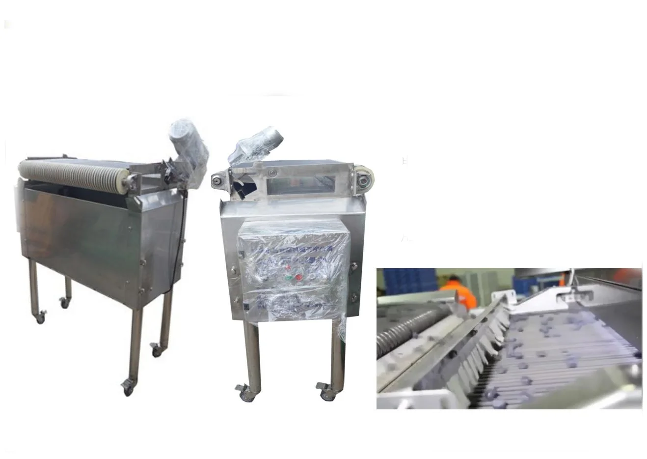 Automatic Blueberry Packaging,Transportation And Packing Machinery ...