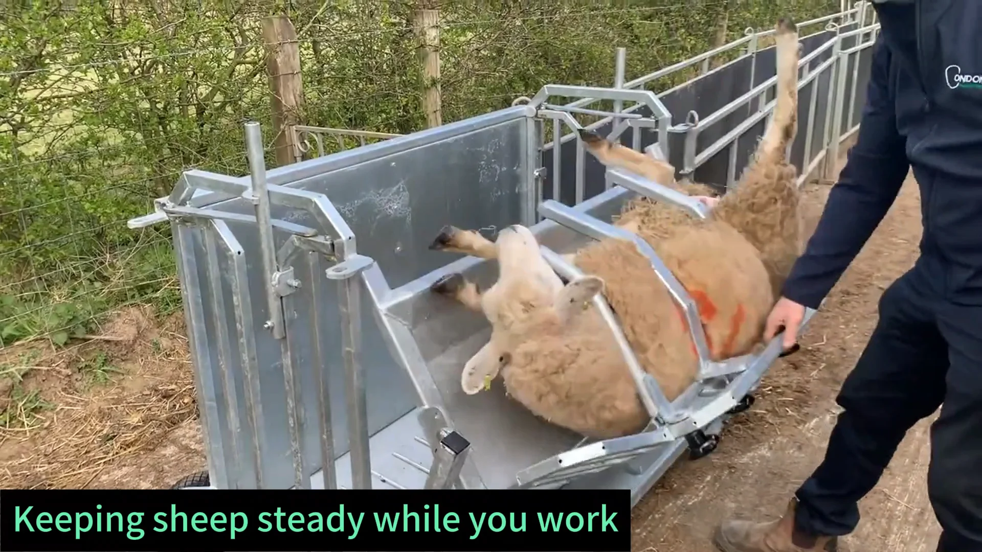 Easy Assembled And Removable Hot Dipped Galvanized Sheep Turnover Crate ...