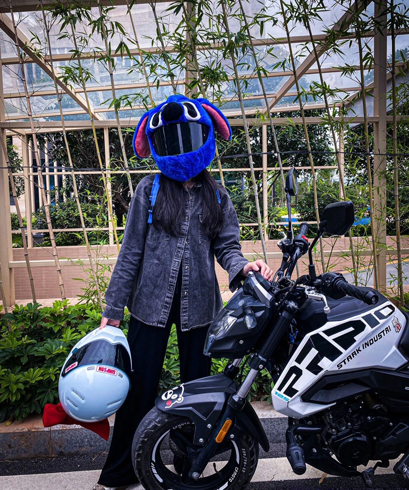 2023 New Furry Rabbit Motorcycle Helmet Cover Full Face Helmet ...