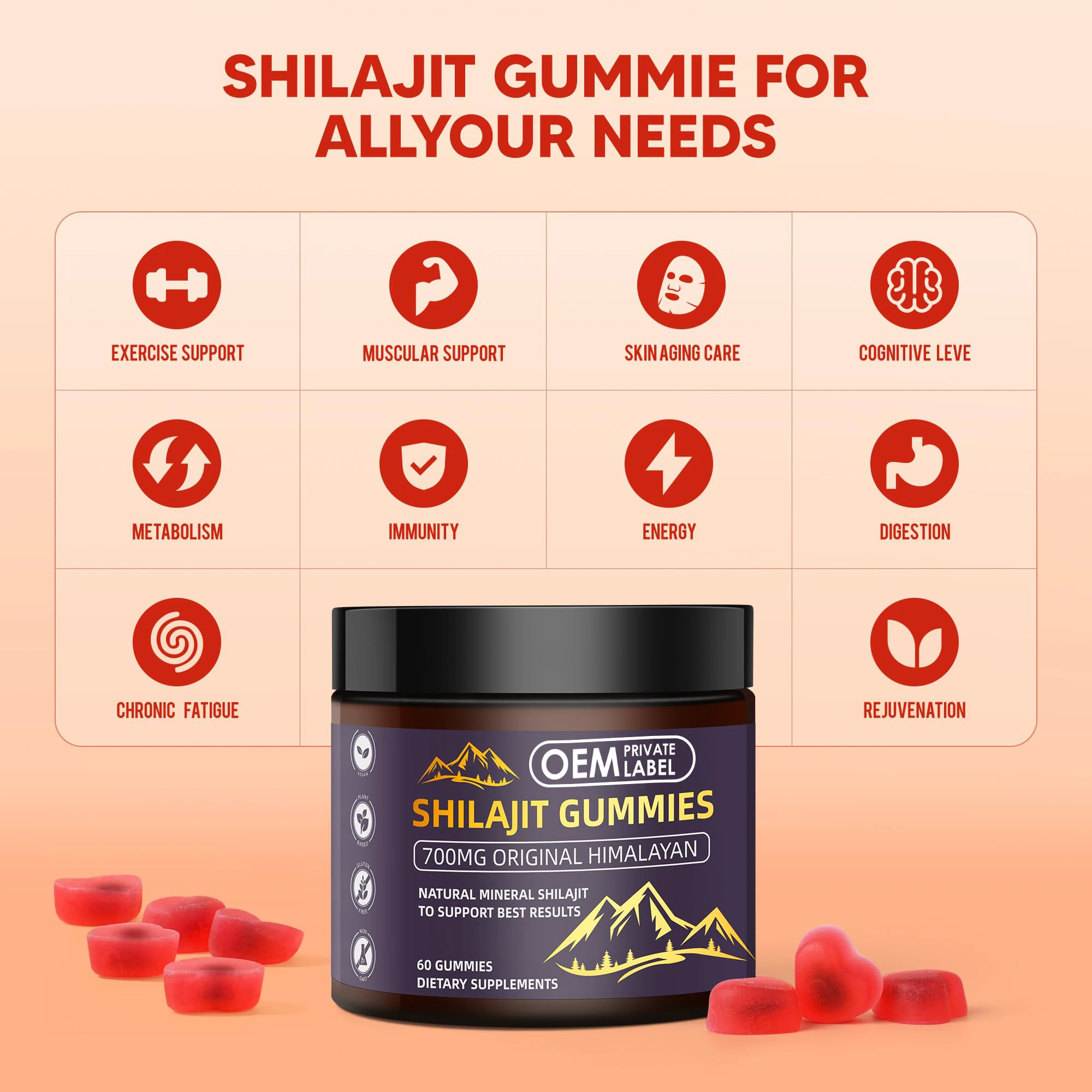 Shilajit Gummies Sugar-free Shilajit Pure Himalayan Organic Supplement ...
