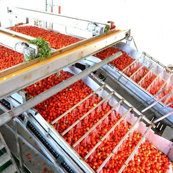 Leadworld Industrial Tinned Tomatoes Canned Food Canning Production ...