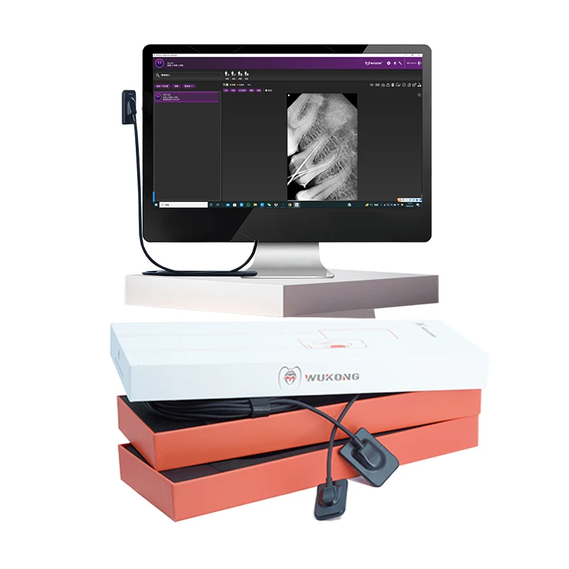 Dental X Ray Sensor Intraoral Sensor X-ray Radiographic Oral Digital X ...