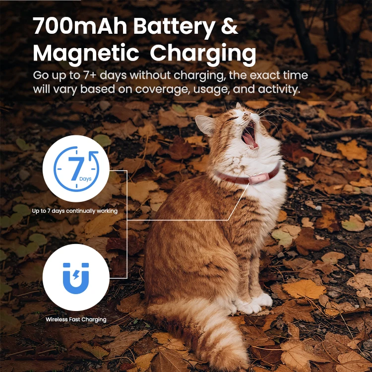 Smart Mini Cat Dog Collar Activity Monitoring Detection 4g Anti-lost ...