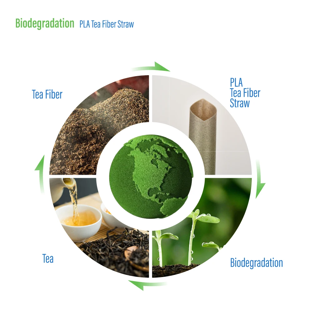 Eco Friendly PHA PBS PLA Biodegradable Home Compostable Beverage Straws ...