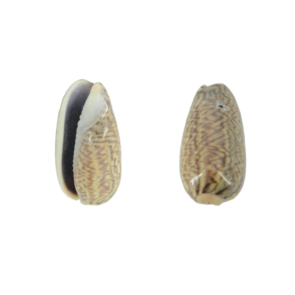 Natural Seashell Cowrie Shell Crafts With Hole For Jewelry Making - Buy ...