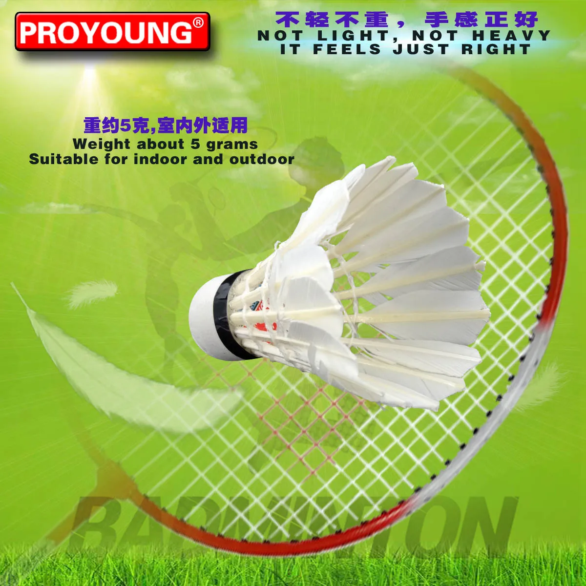 Entertainment Grade Feather Shuttlecock Indoor Outdoor Badminton Custom ...