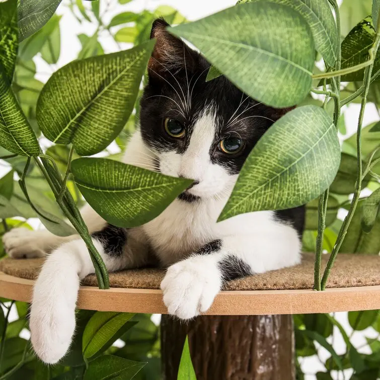 Árbol De Actividad Con Hojas Para Gatos,Torre Grande Y Cuadrada,Para ...