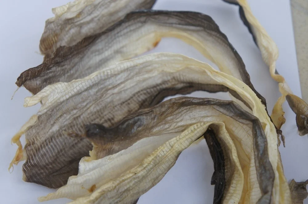 Pangasius Fish Skin Making Collagen Made In Vietnam +84826064364 - Buy ...