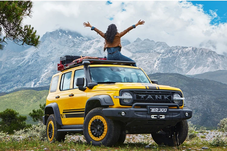 2023 Great Wall Compact SUV TANK 300 Off Road Version 2.0T 4WD 5 Seats ...