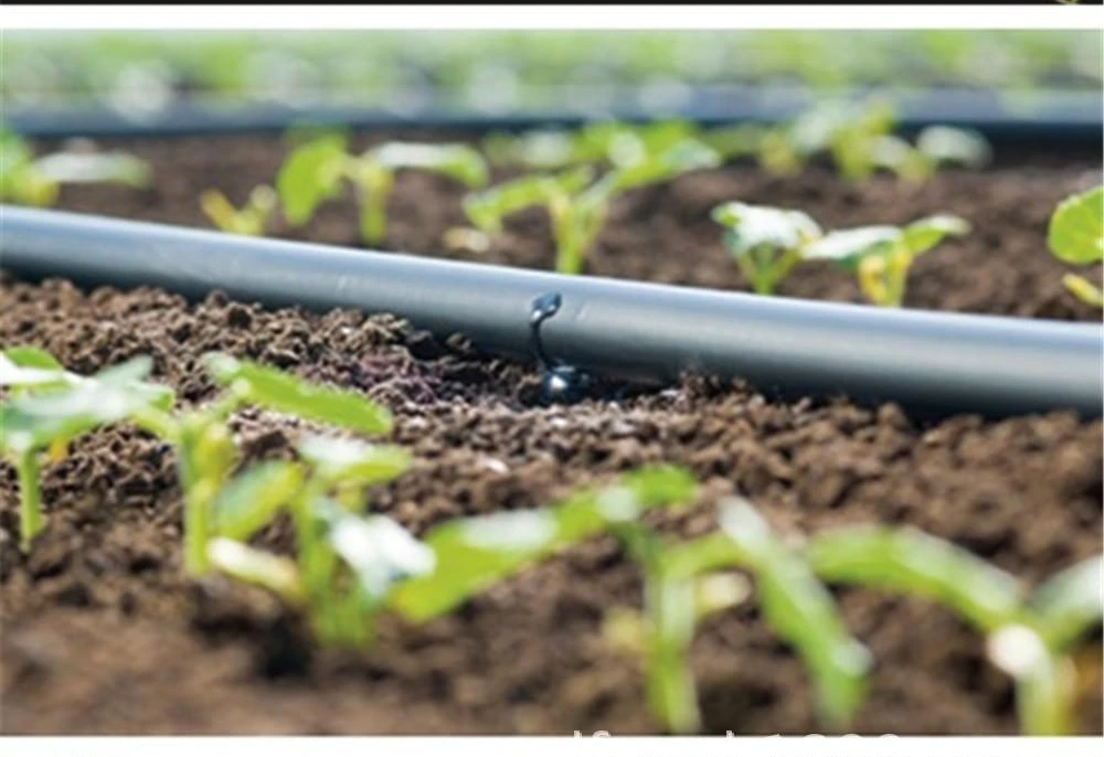 China Supplier Drip Agricultural Irrigation System/drip Tape - Buy Drip ...