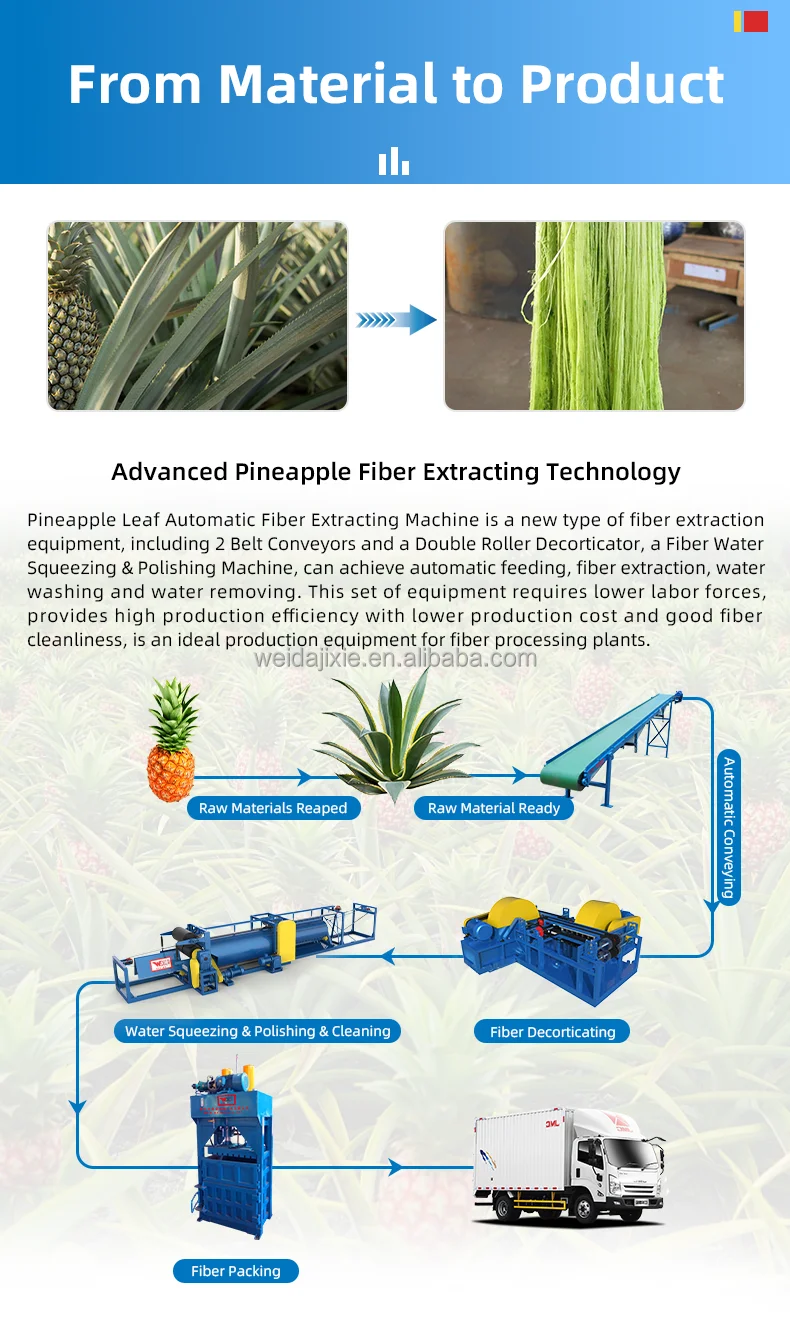 Pineapple Leaf Fiber - Equipment for Manufacturing Sisal Hemp Fibers ...