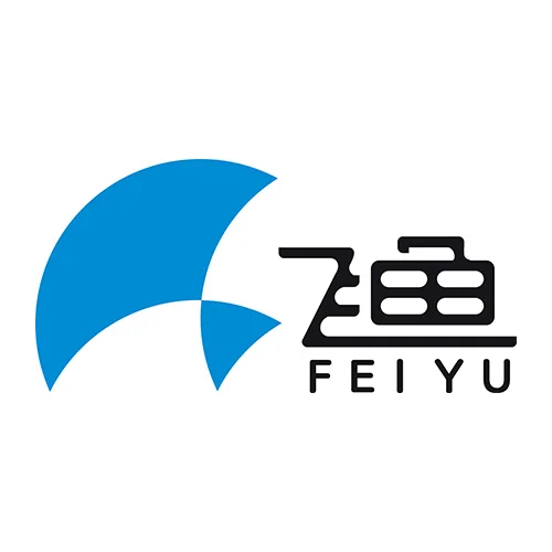 Company Overview - Longyan Feiyu Network Technology Co., Ltd.